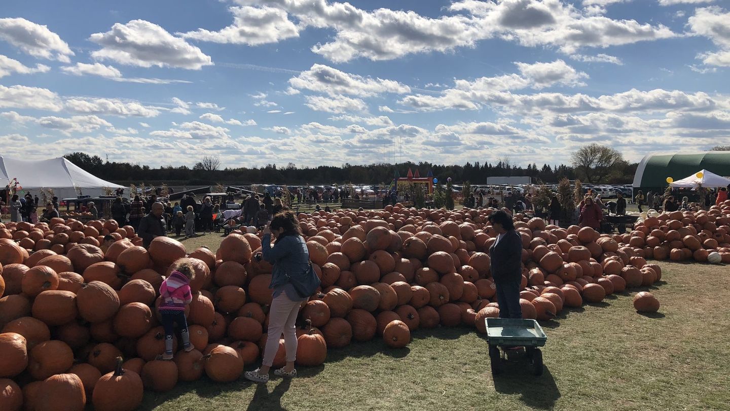 Abby Hill Farms & Andrew Asquith