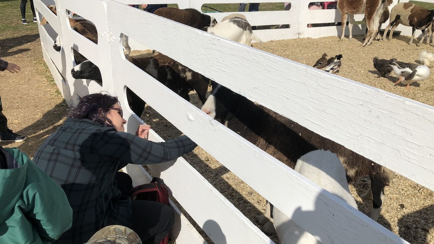 Abby Hill Farms & Andrew Asquith