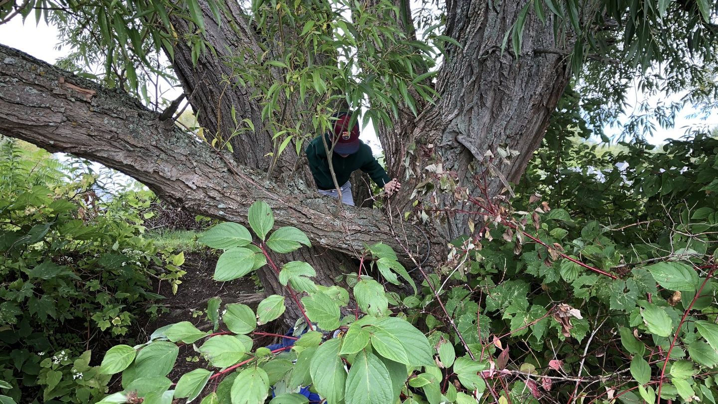 Geocaching & Andrew Asquith