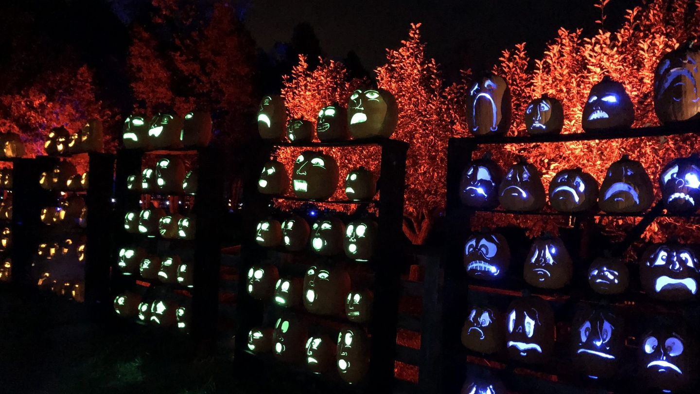 Pumpkinferno & Andrew Asquith